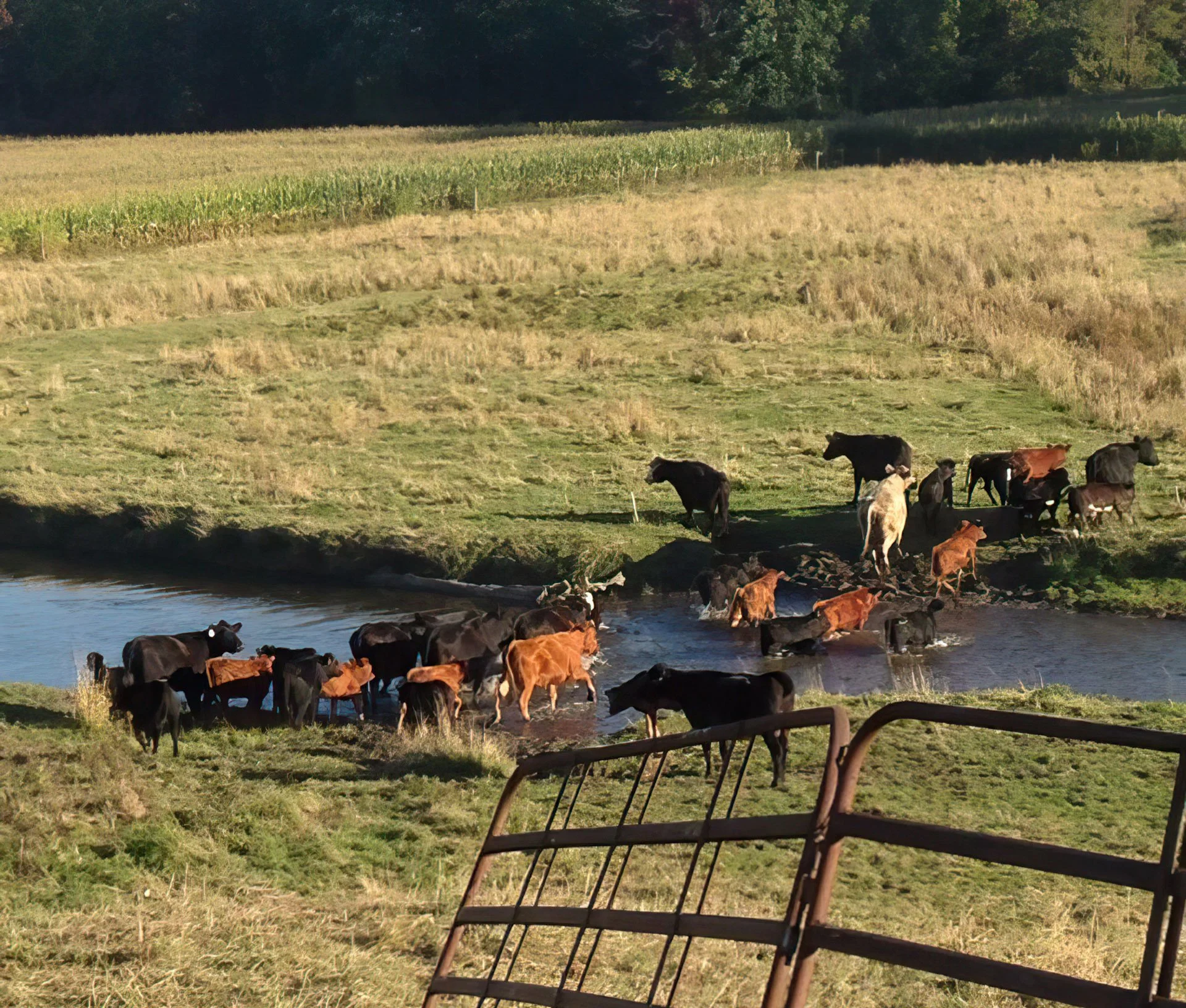 Partner Farms — Marrow Detroit Provisions