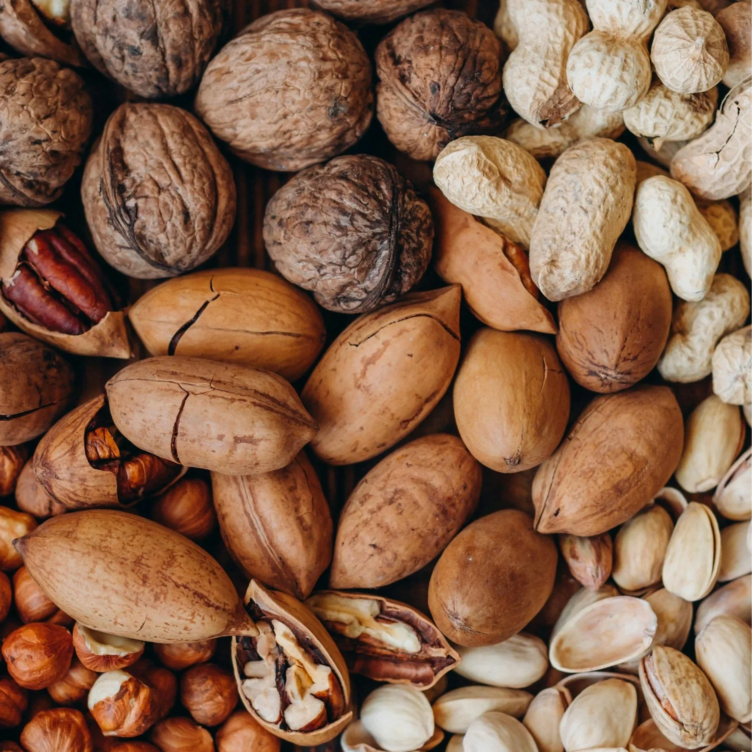 Understanding Complete and Incomplete Proteins — Vitality Nutrition