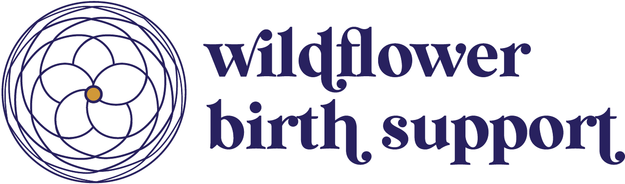 Wildflower Birth | Doula & Baby Gear Rental in Rochester NY
