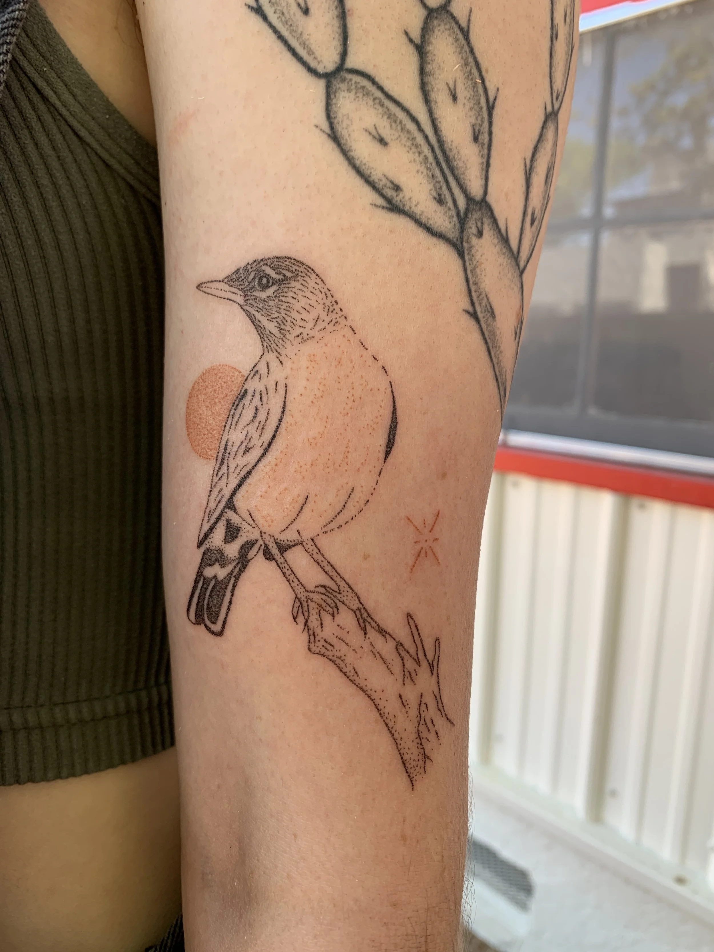 Thrush Bird Tattoo
