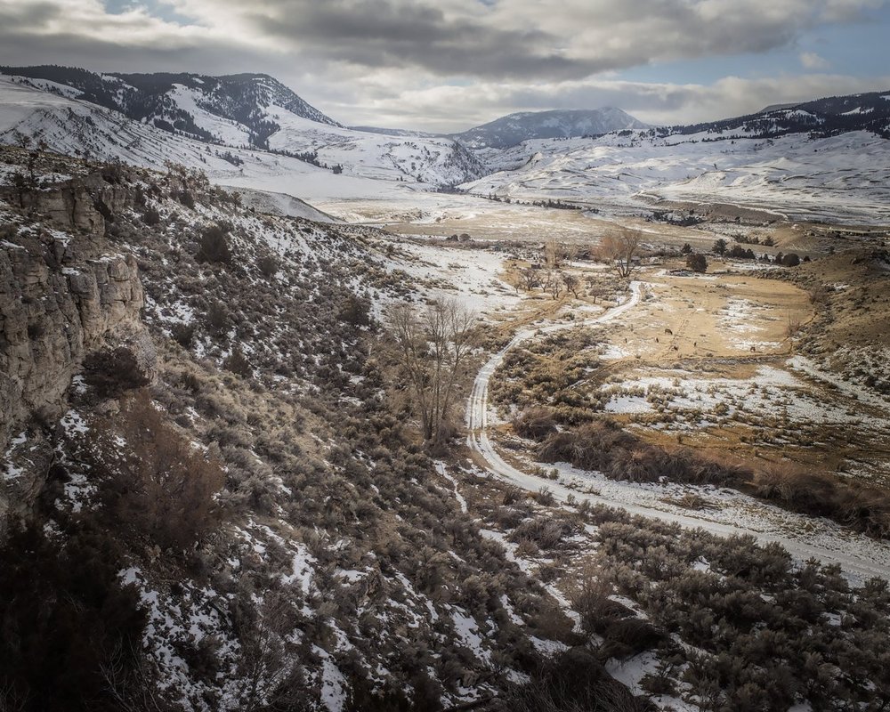 Buffalo Bridge — Gathering Ways