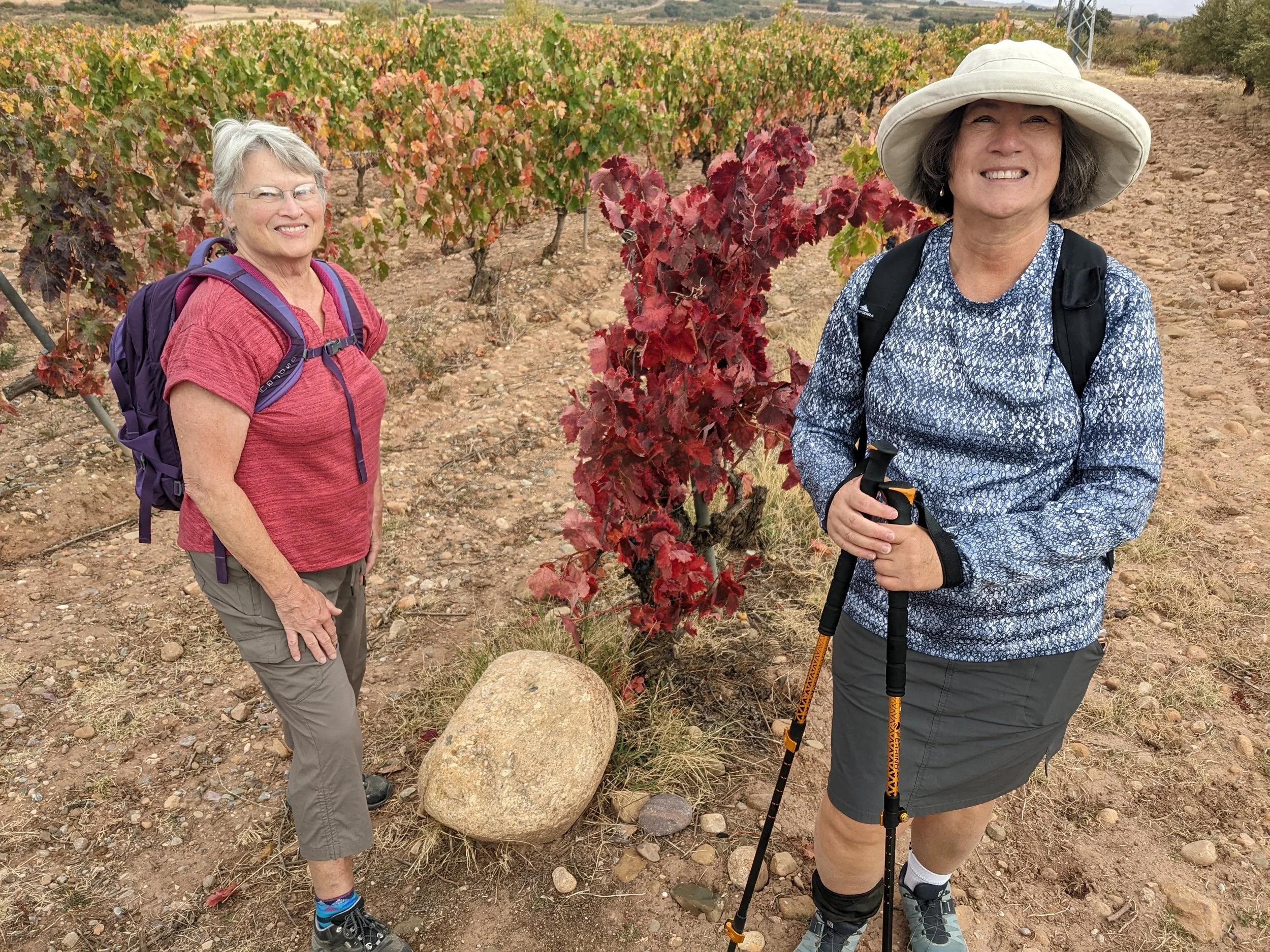 Spain Small Group Travel Tours - Walking the Camino de Santiago