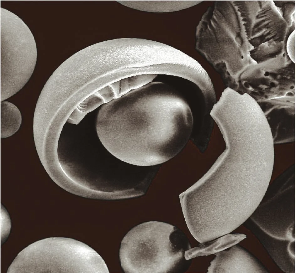 Our Technologies — ENCAP SOLUTIONS