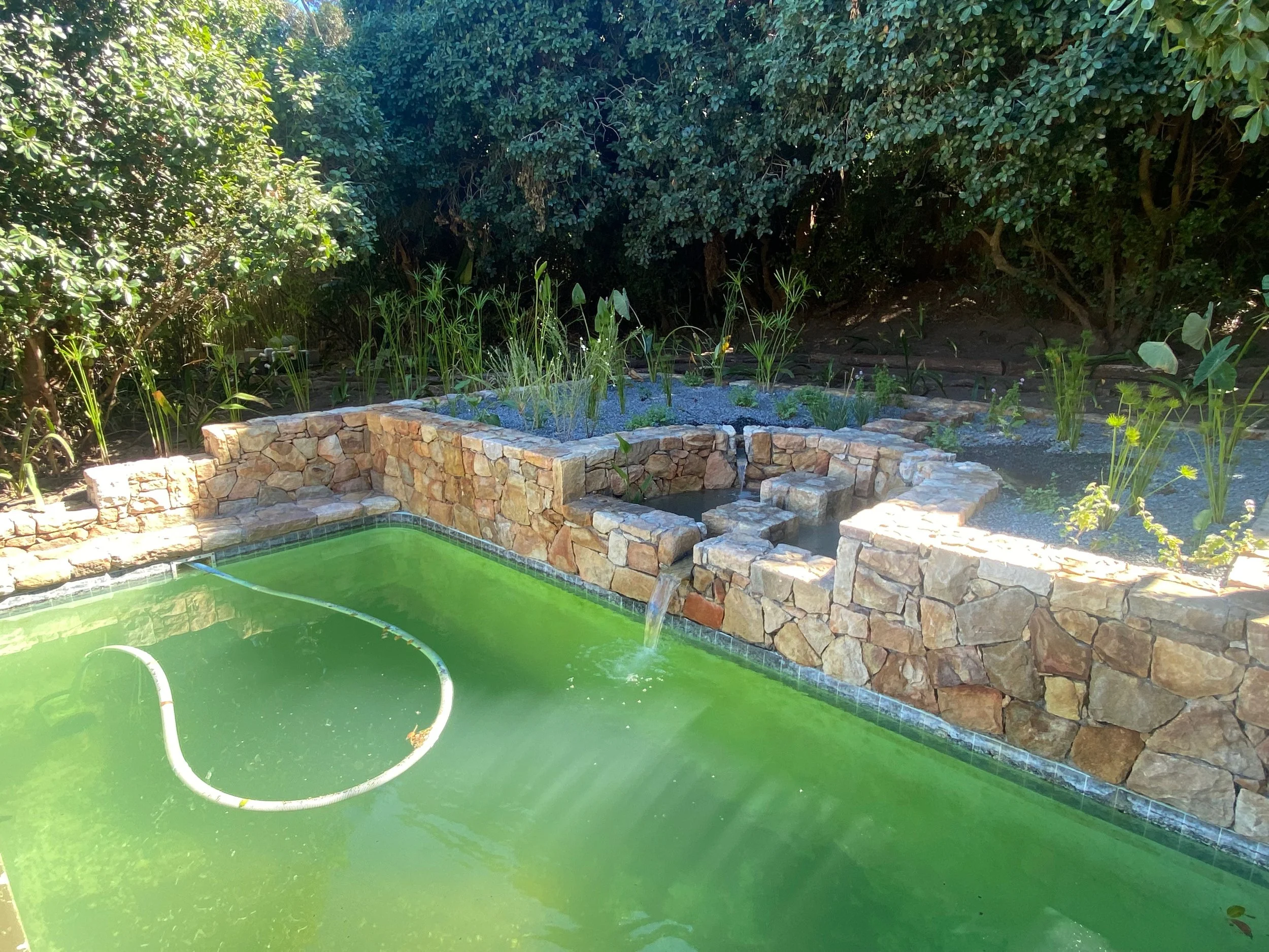 Our Work — Natural Pools