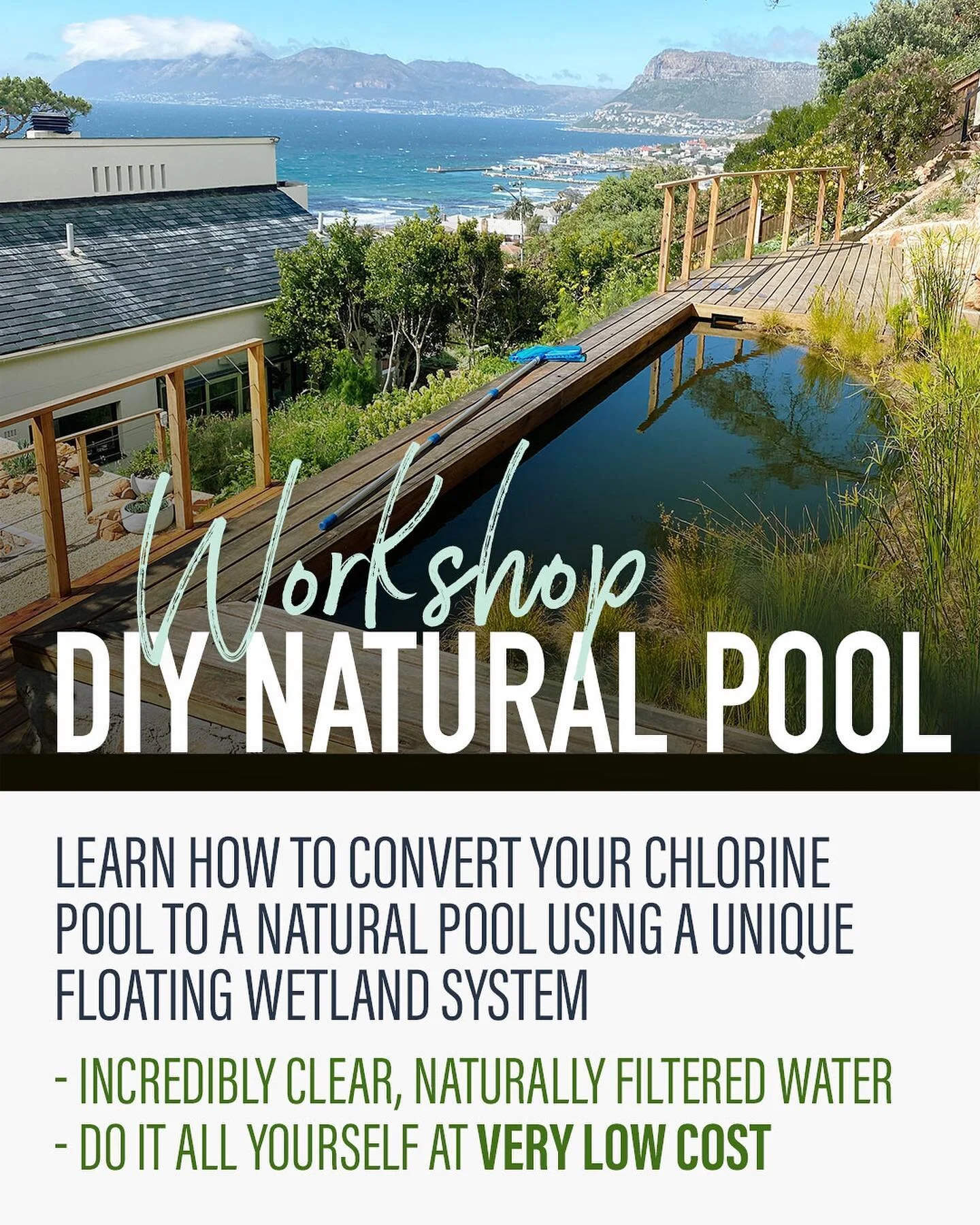 Natural Pool Conversions — Natural Pools
