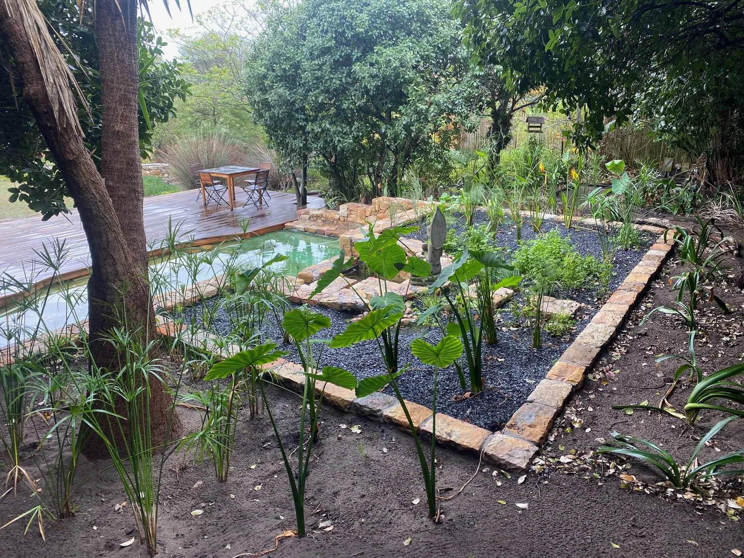 Malabar Natural Pool Conversion — Natural Pools