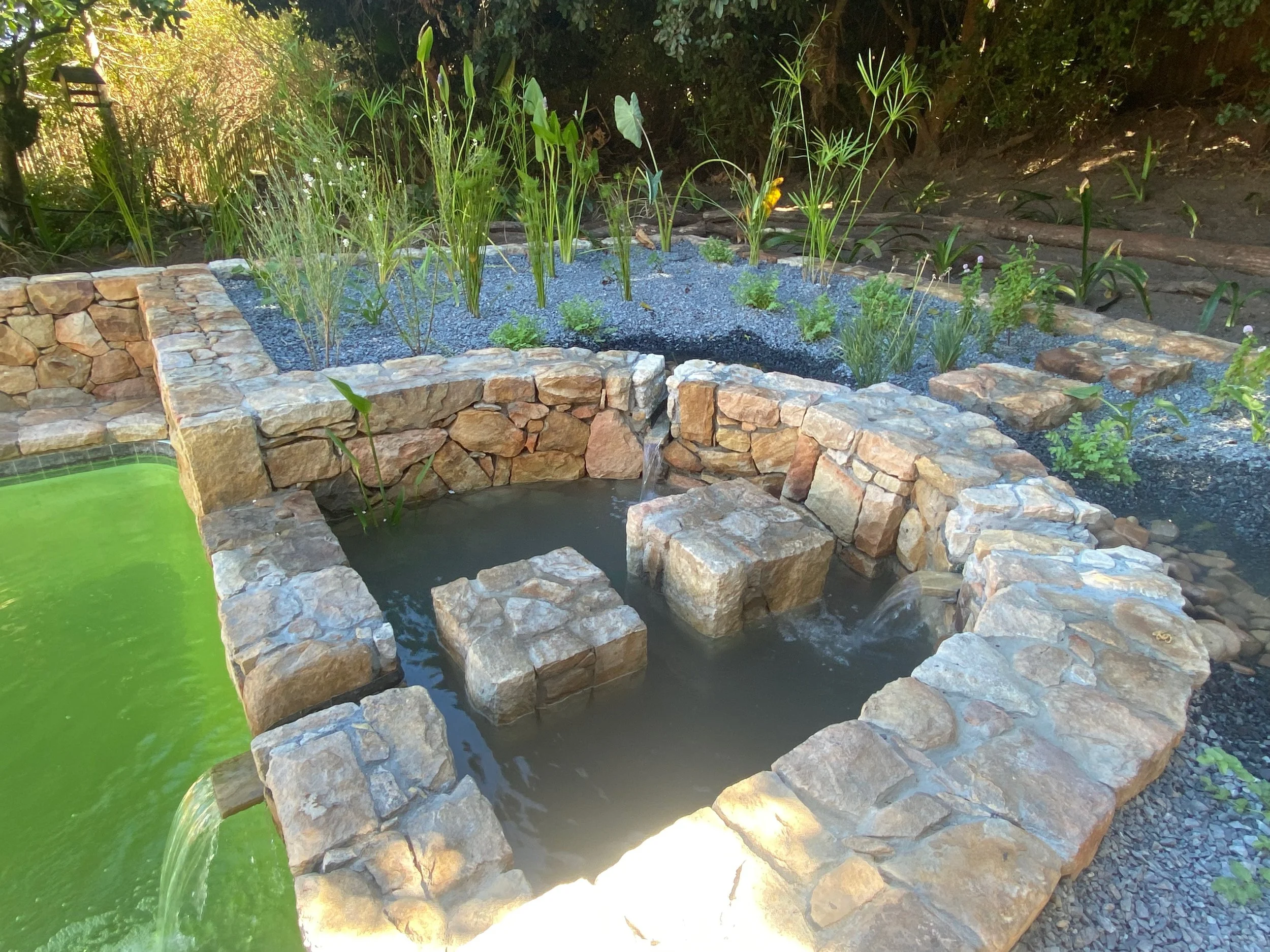 Malabar Natural Pool Conversion — Natural Pools