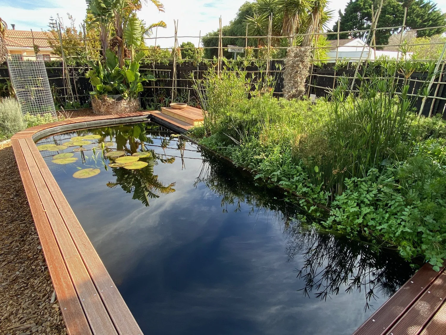 Floating Wetlands — Natural Pools