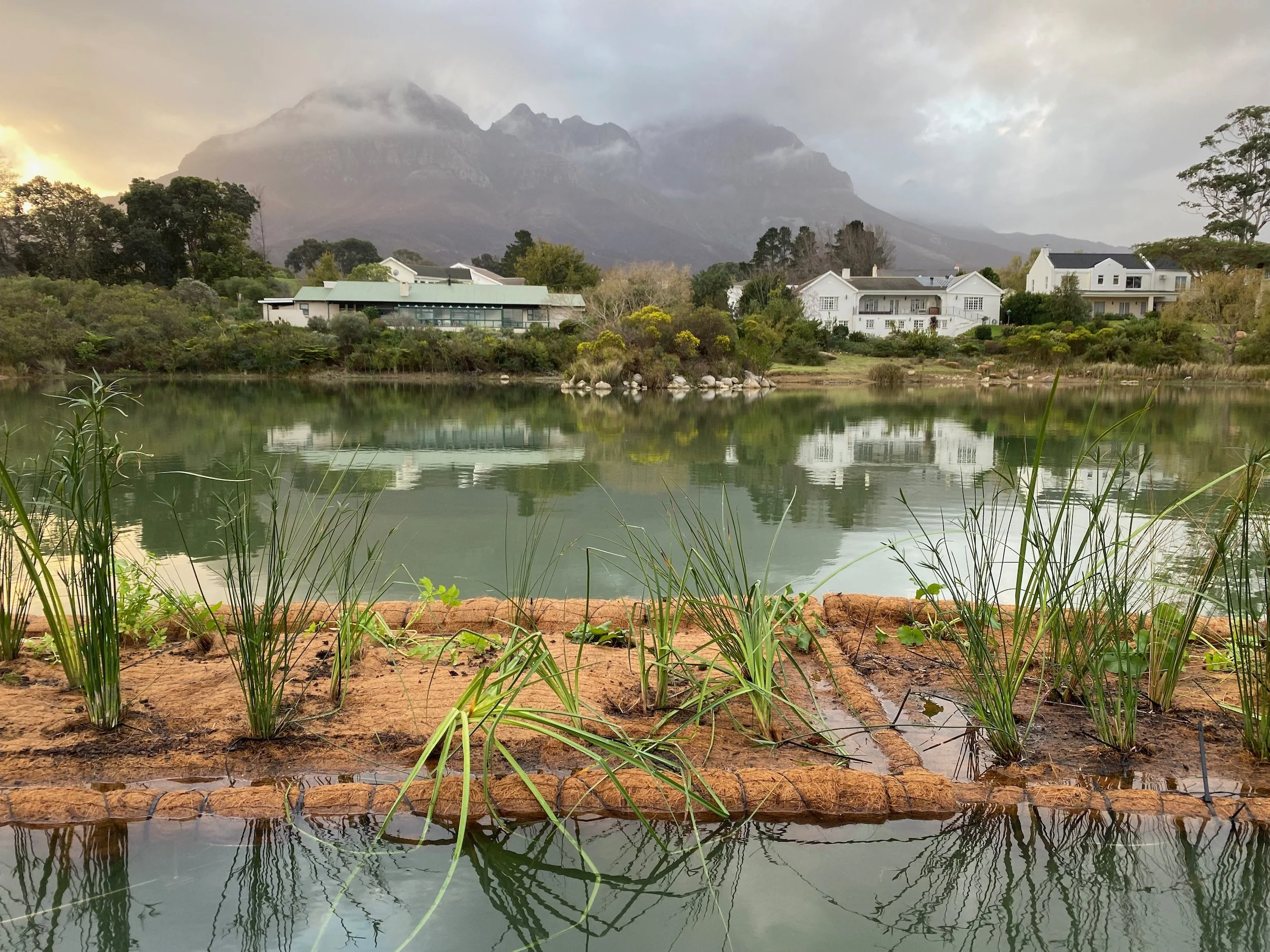 Floating Wetlands — Natural Pools