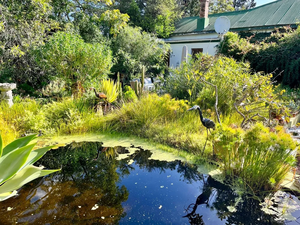 Darling Natural Pool Conversion — Natural Pools