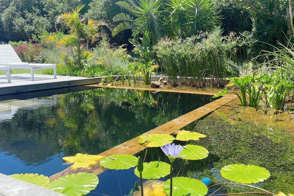 Natural Pools Cape Town