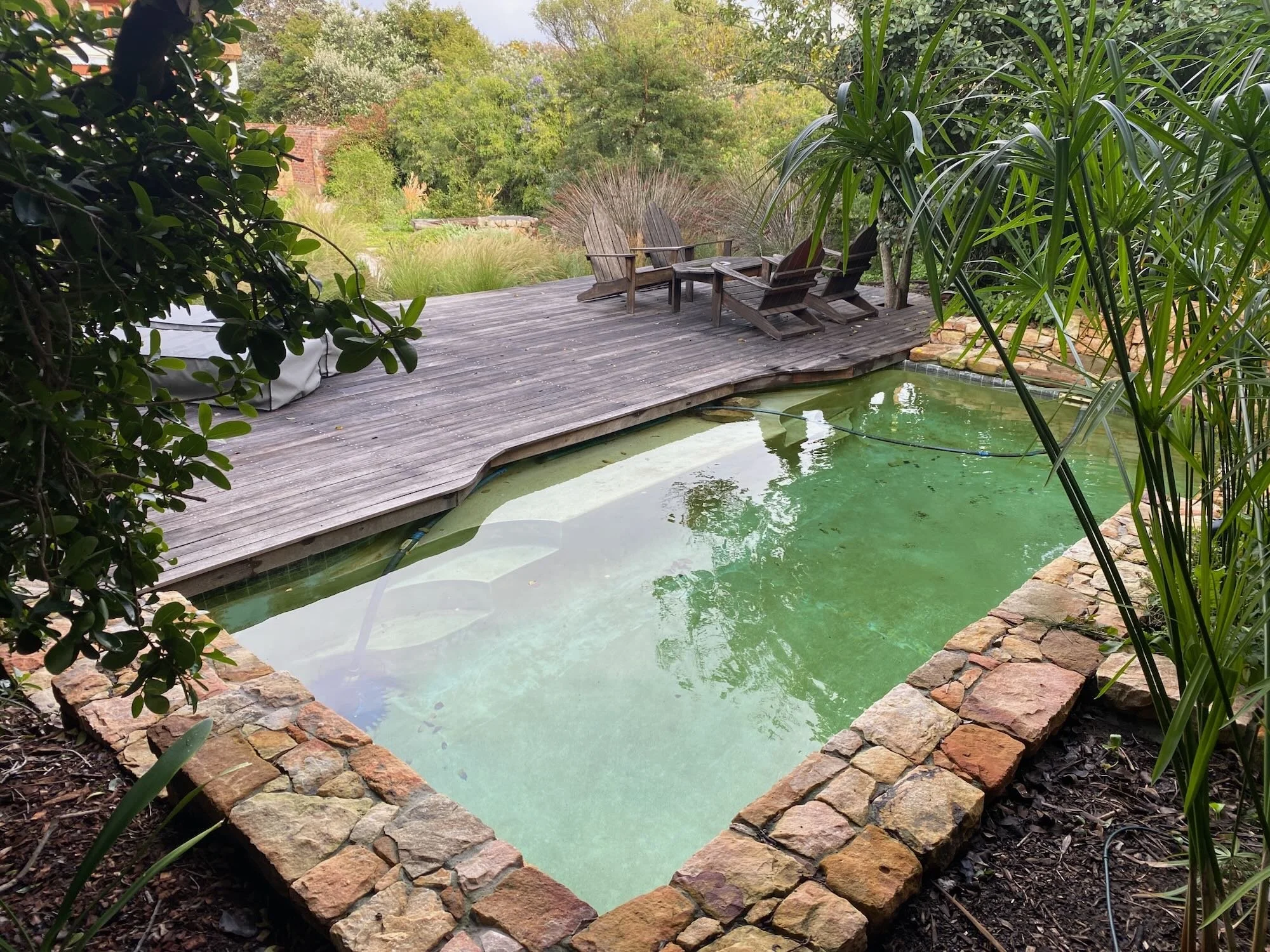 Malabar Natural Pool Conversion — Natural Pools