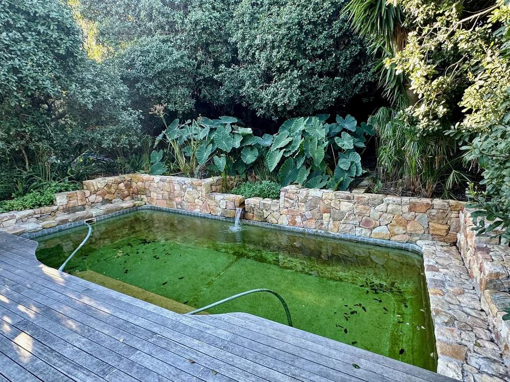 Malabar Natural Pool Conversion — Natural Pools
