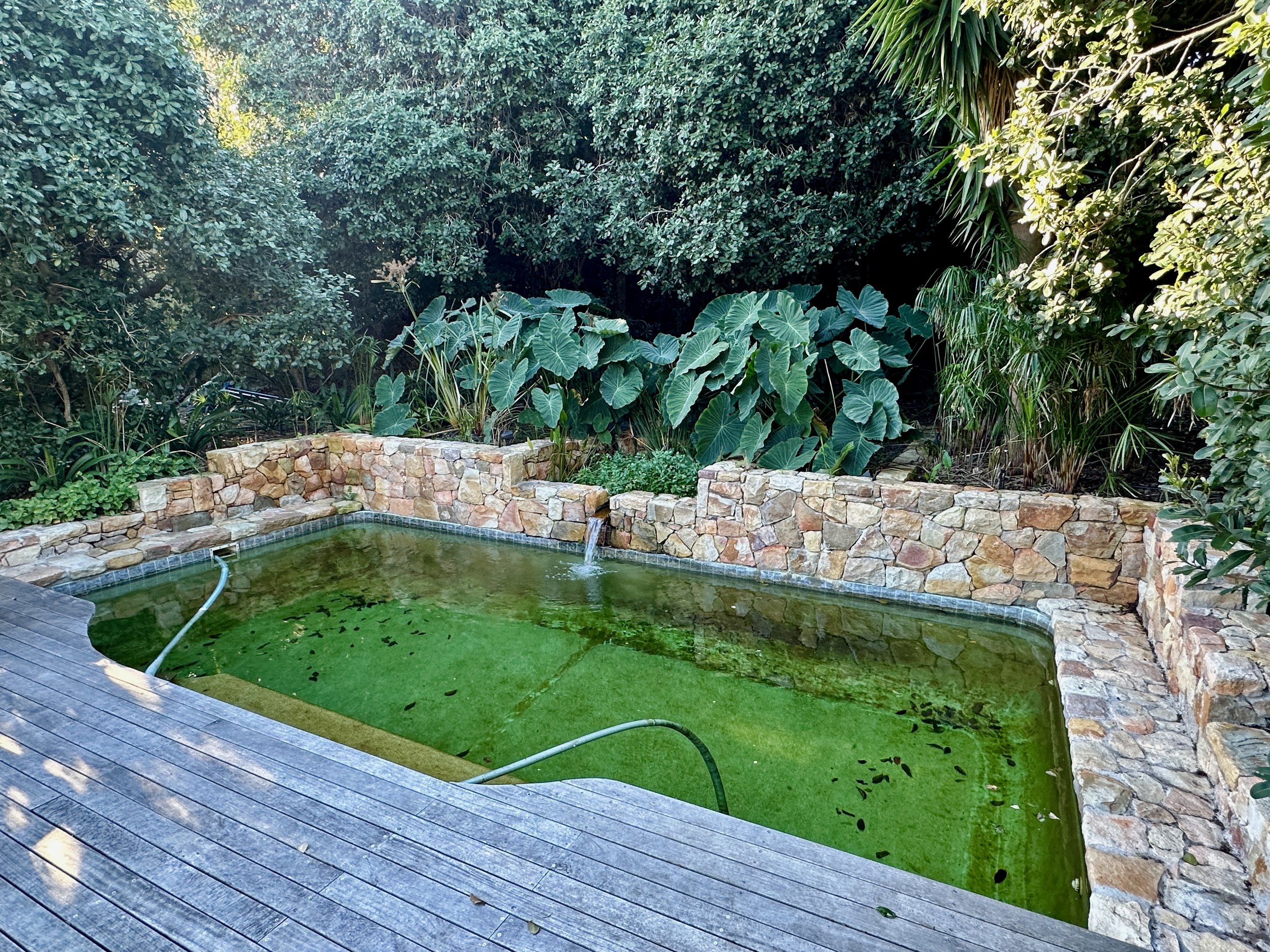 Malabar Natural Pool Conversion — Natural Pools