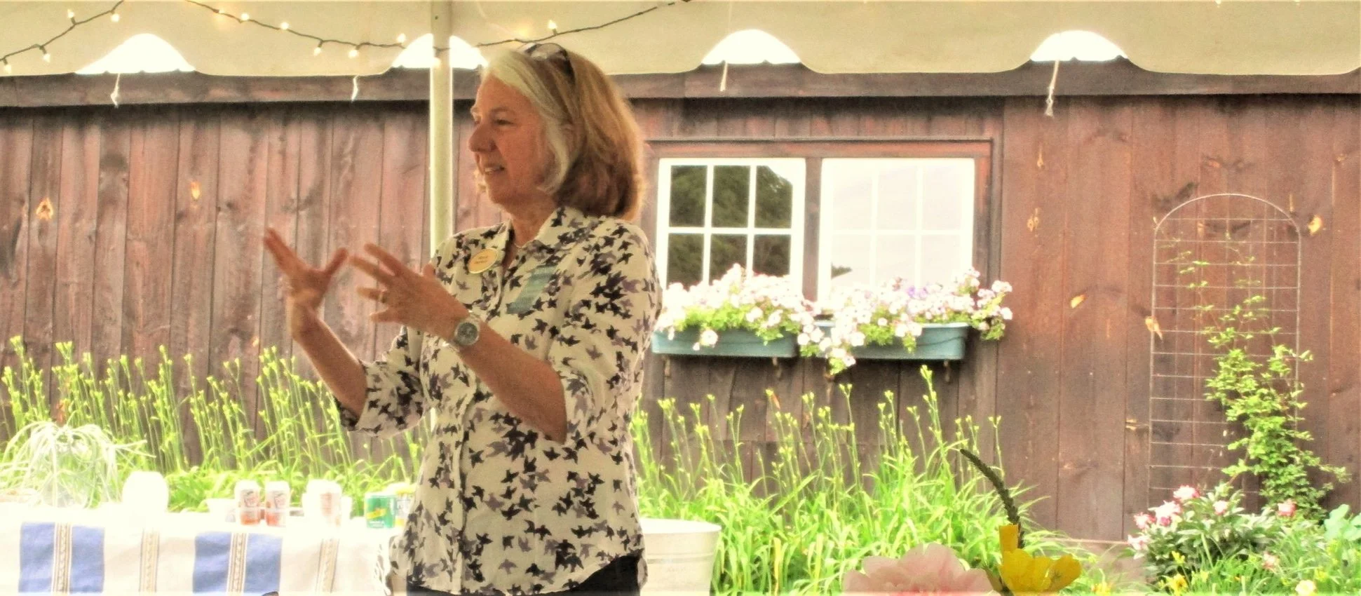 Wendy Harrison for Windham County State Senator