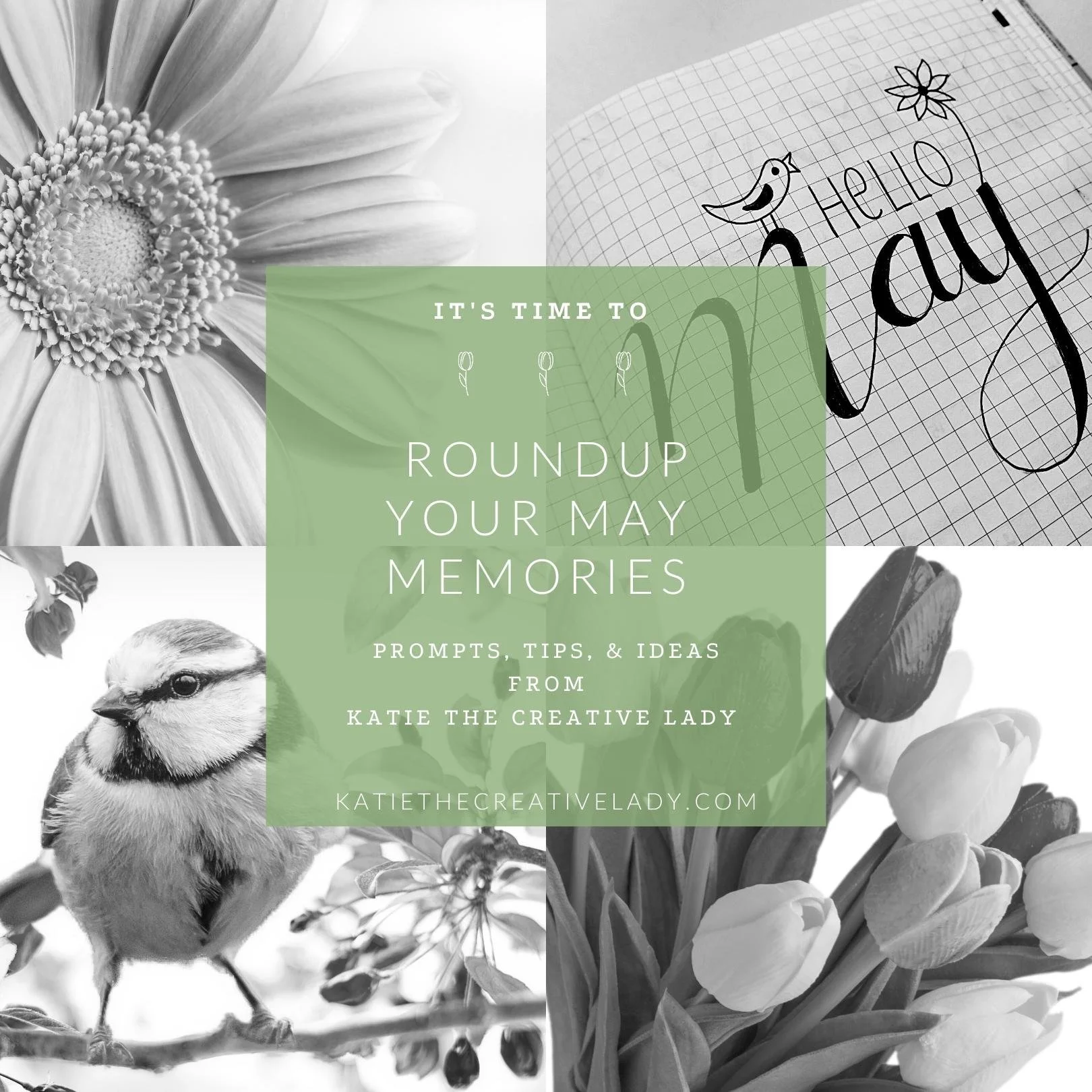 Are you ready to roundup the month of May? — Katie the Creative Lady ...