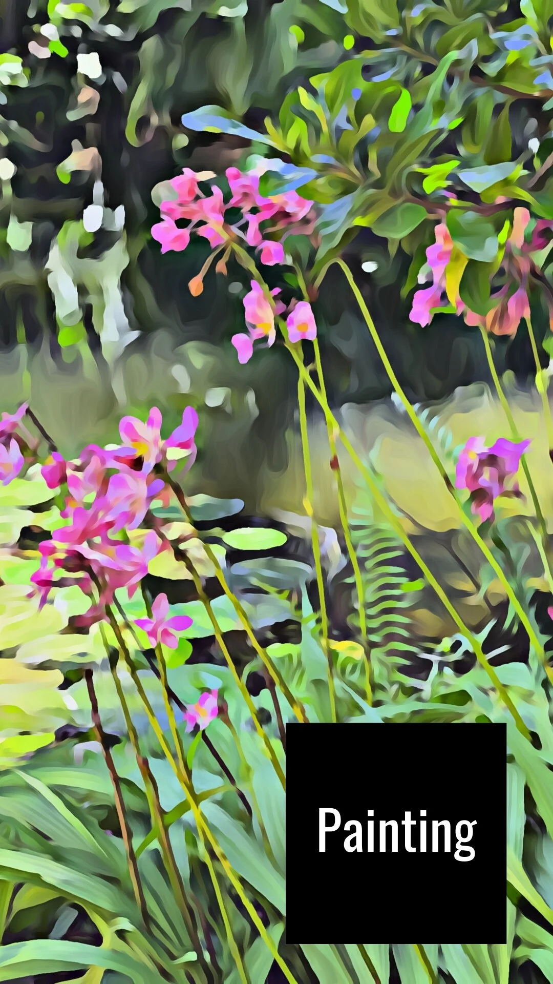 Colorcinch for fun online photo editing — Katie the Creative Lady ...