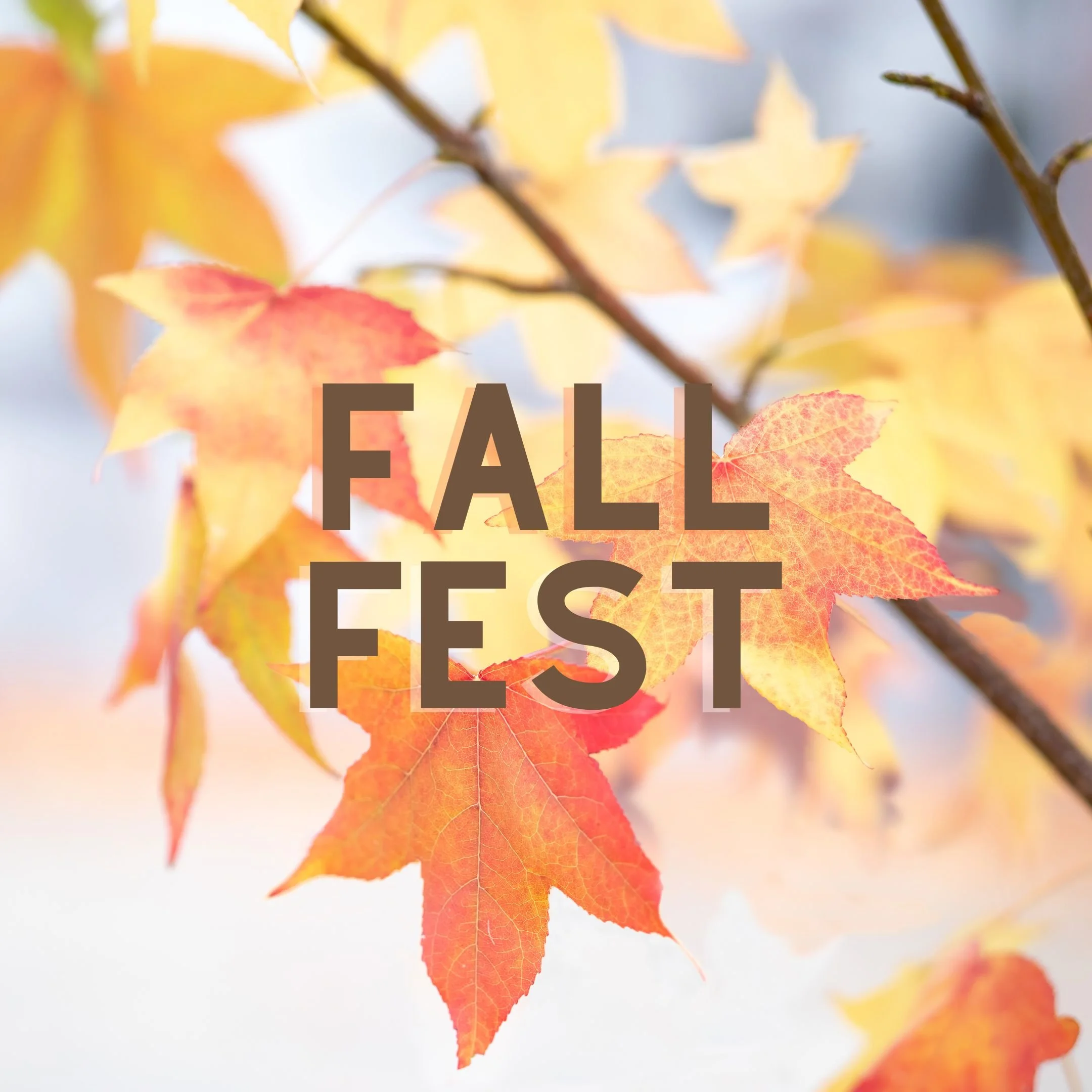 Fall Fest 2022 — Katie the Creative Lady | Create, Capture, Celebrate