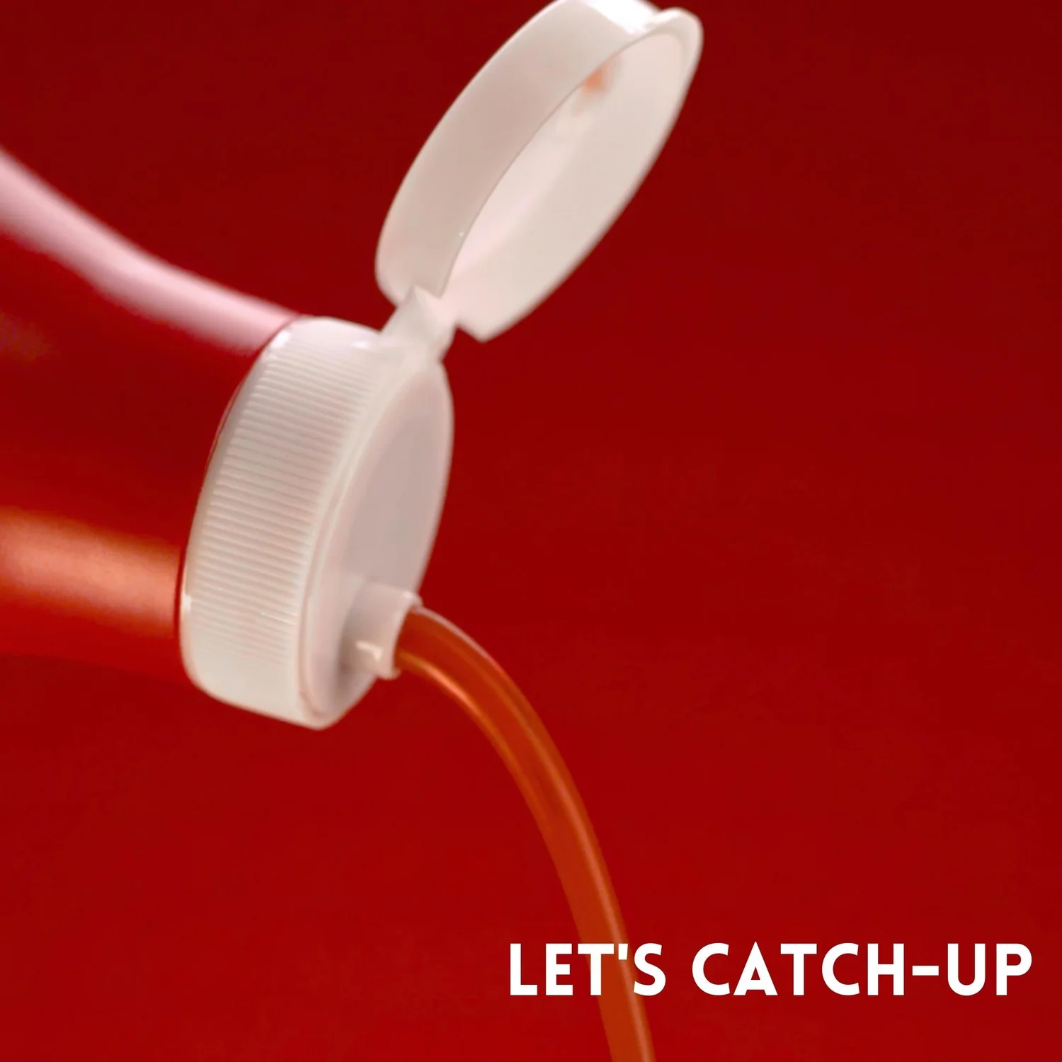 Let’s catch up — Katie the Creative Lady | Create, Capture, Celebrate