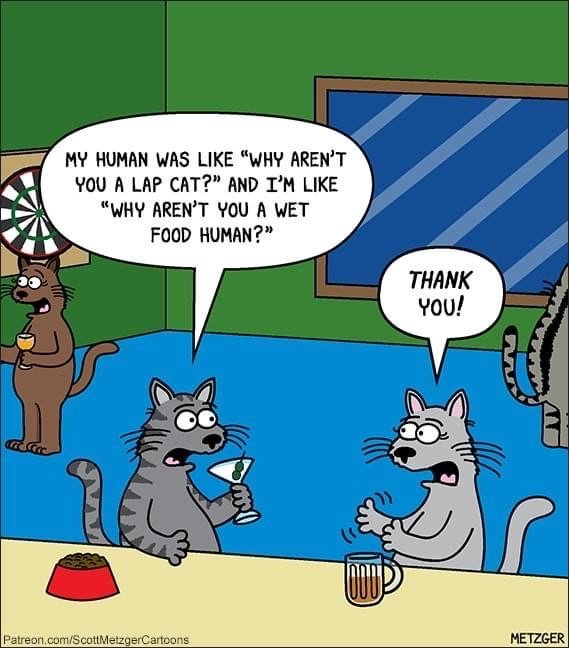 A little pet humor — Katie the Creative Lady | Create, Capture, Celebrate