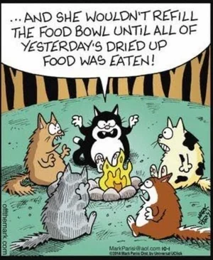 A little pet humor — Katie the Creative Lady | Create, Capture, Celebrate