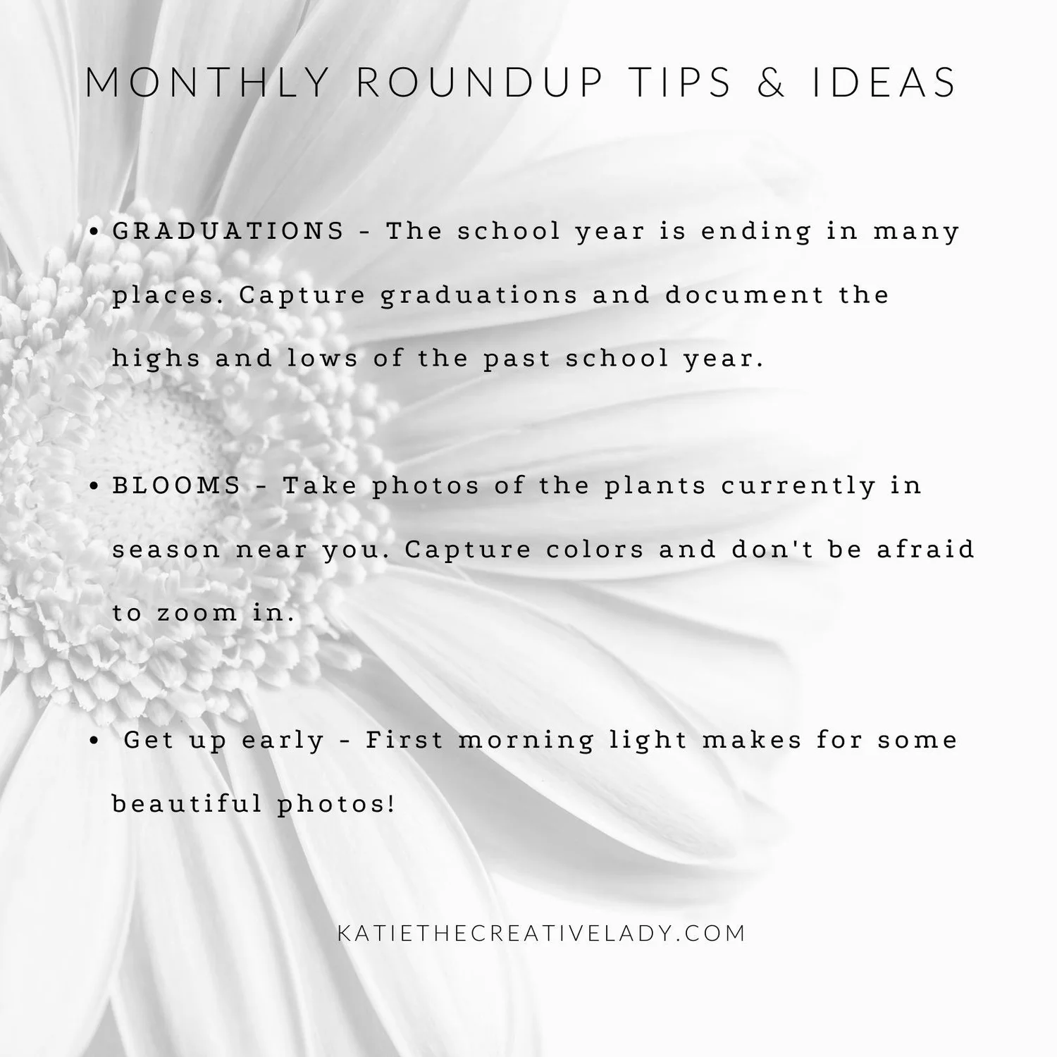 Are you ready to roundup the month of May? — Katie the Creative Lady ...