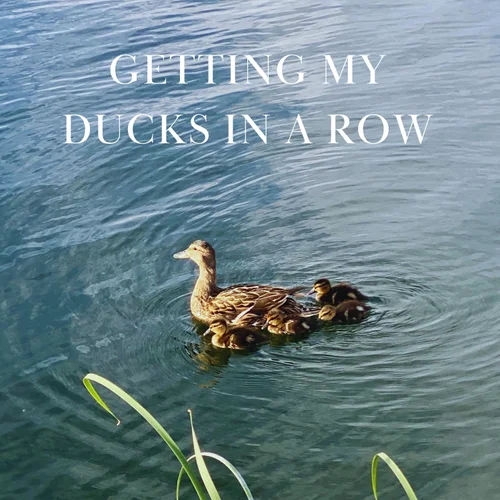 Getting my Ducks in a Row — Katie the Creative Lady | Create, Capture ...