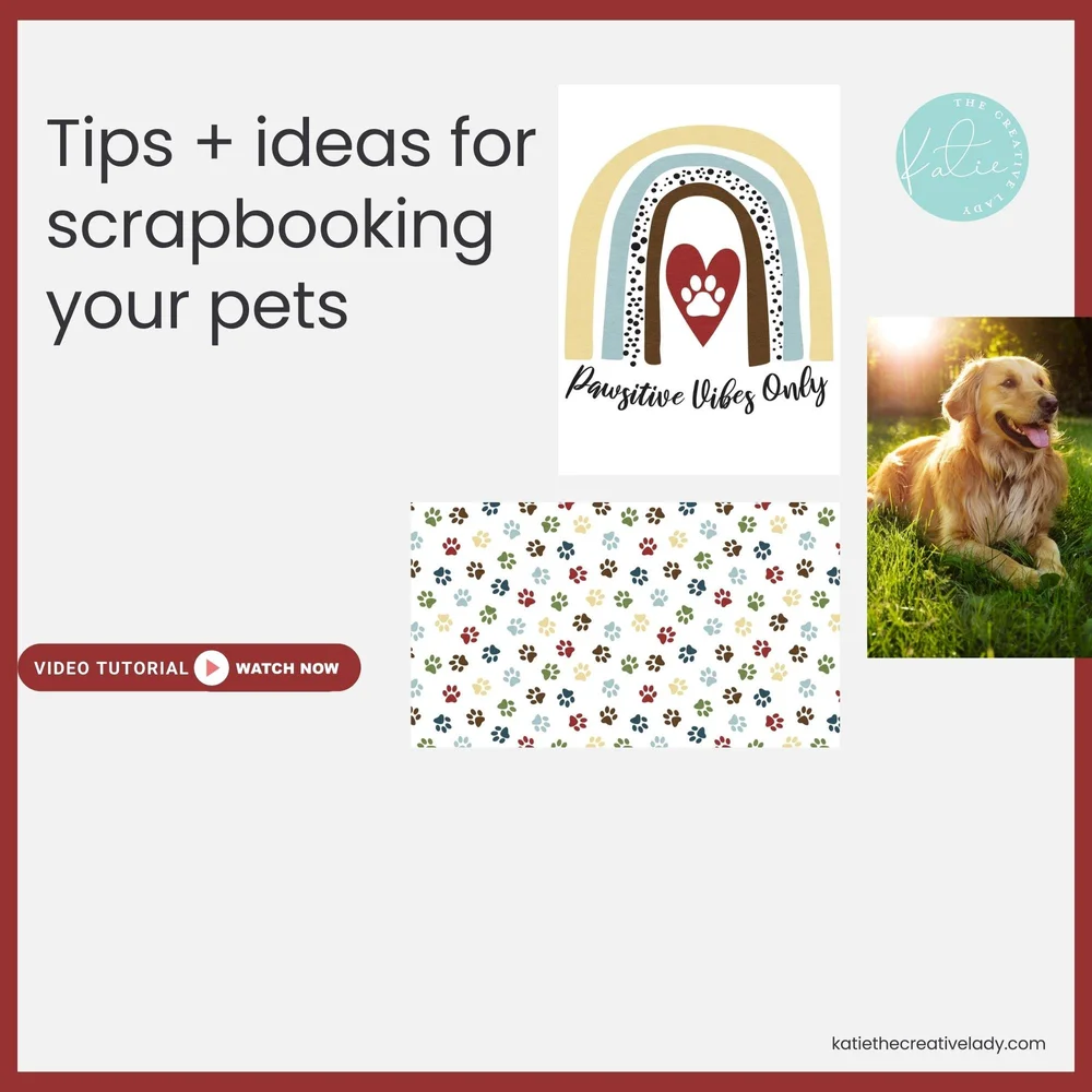 New tutorial - creative ideas for scrapbooking your pets — Katie the ...