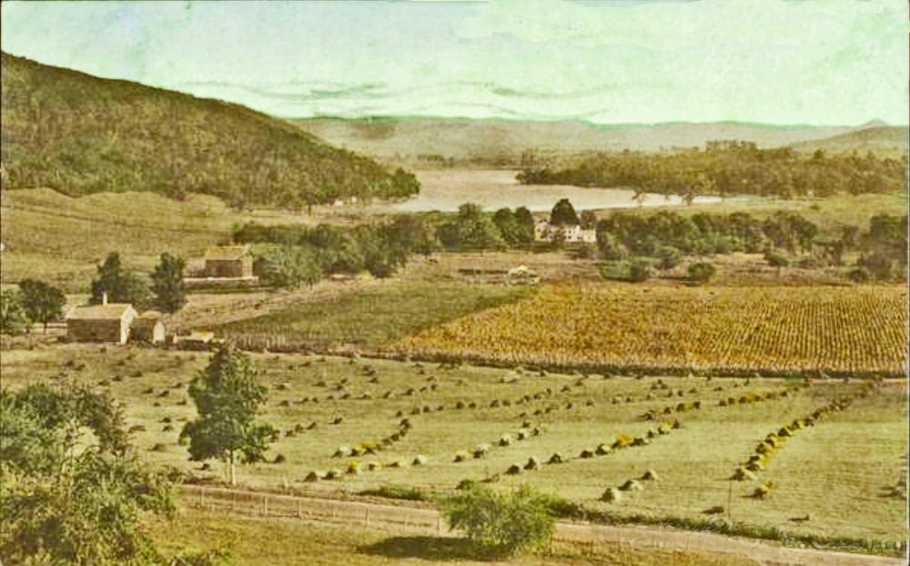Townscape of Millerton and North East Board Members — TOWNSCAPE