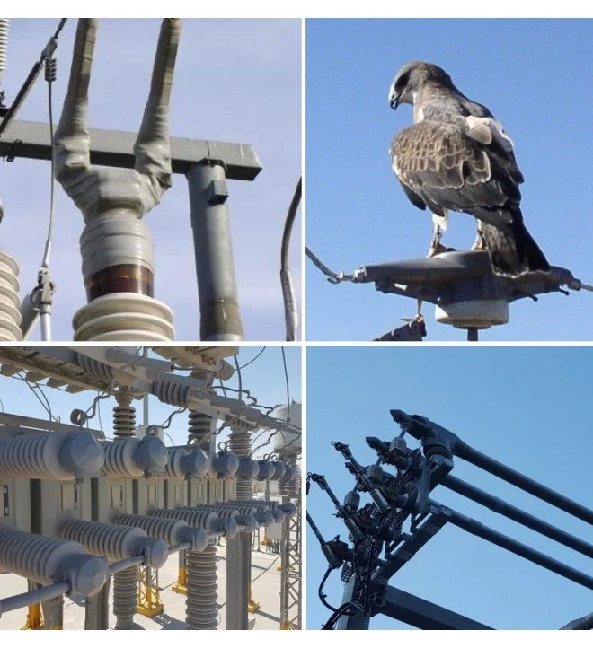 Animal Mitigation — ccprsolutions