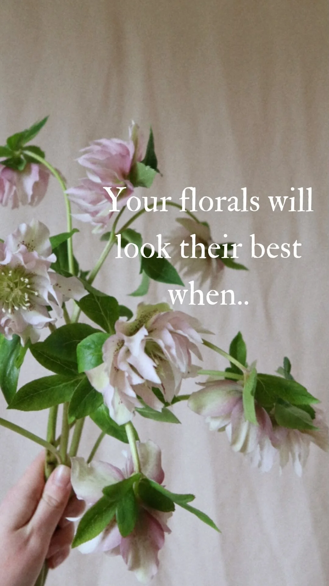 The beauty and benefit of the British flower movement -Luxury Event ...