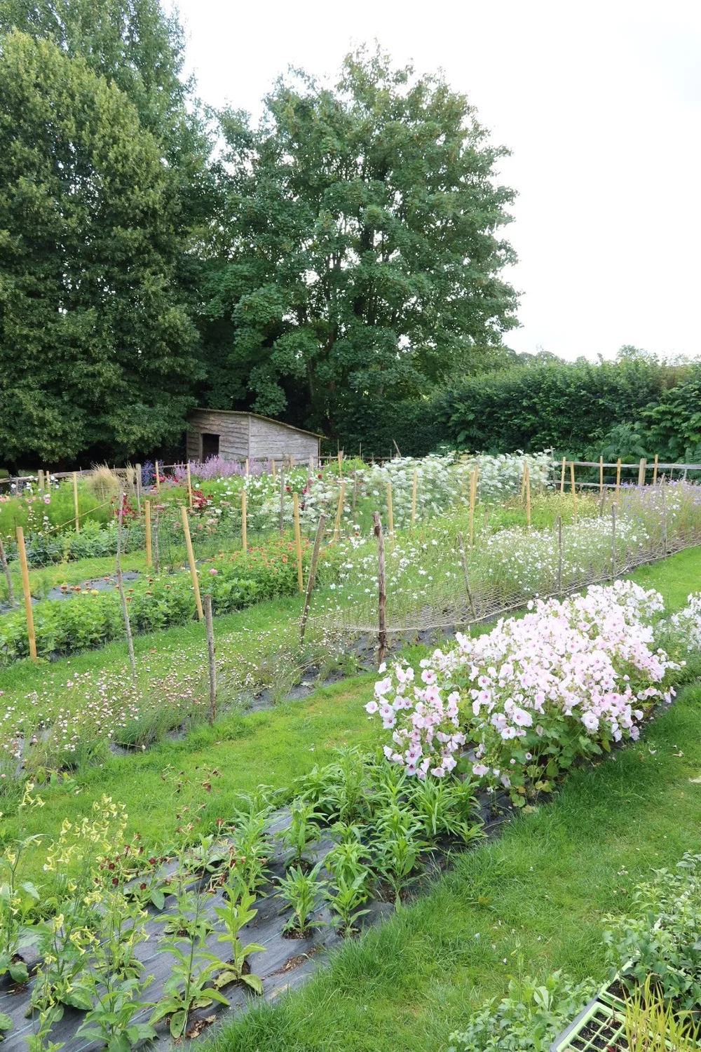 The beauty and benefit of the British flower movement -Luxury Event ...