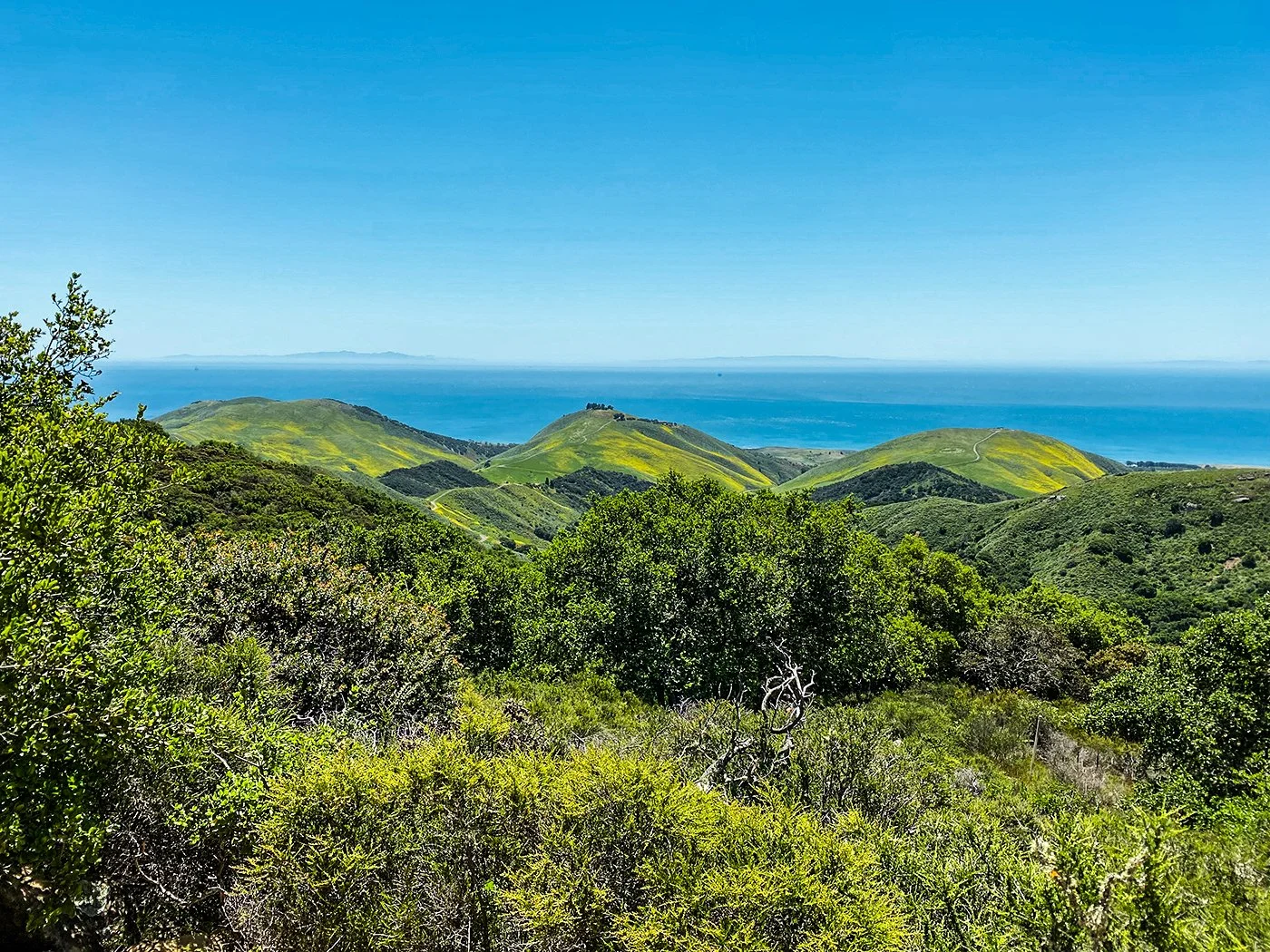 Hollister Ranch Realty