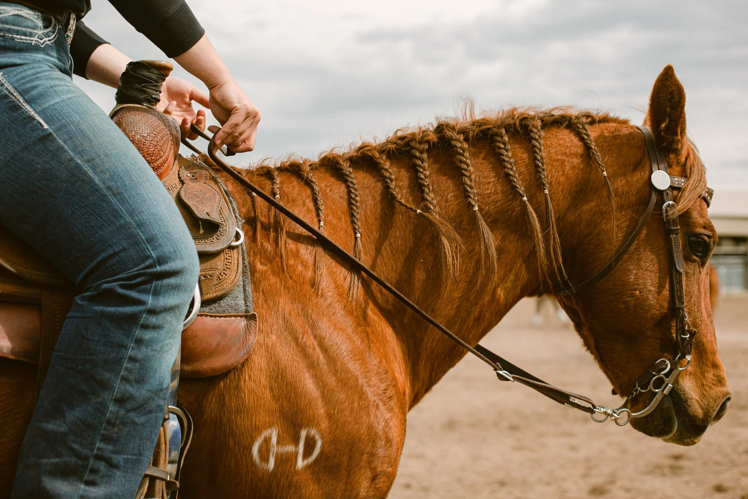 Western Horse Photography