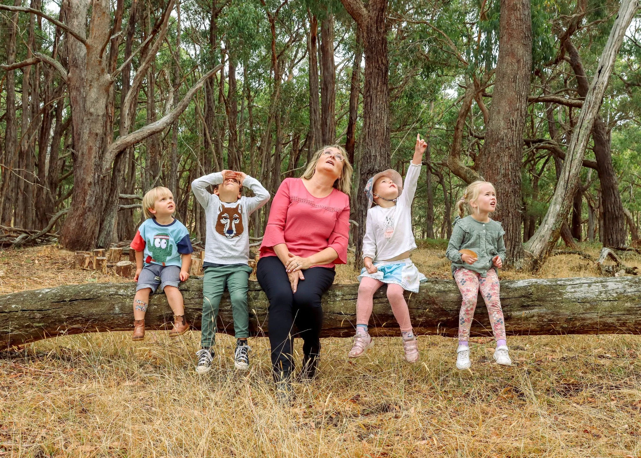 Bush Kinder and Excursions — Hearth Nature Play