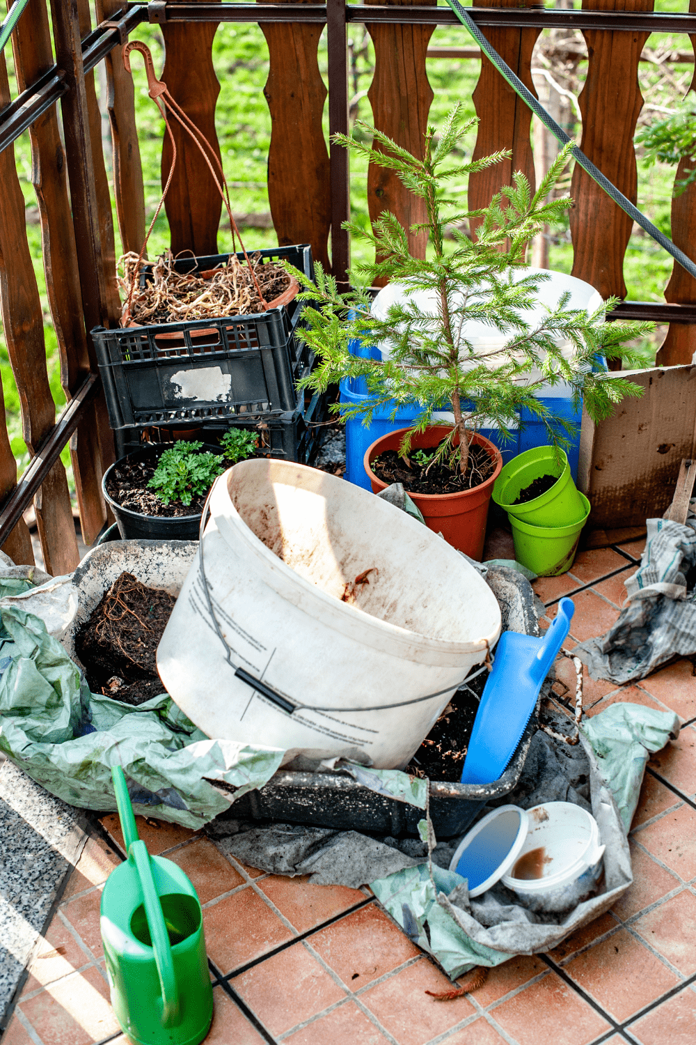 The 5 Stages/Levels of Hoarding: Helping Yourself or a Loved One ...