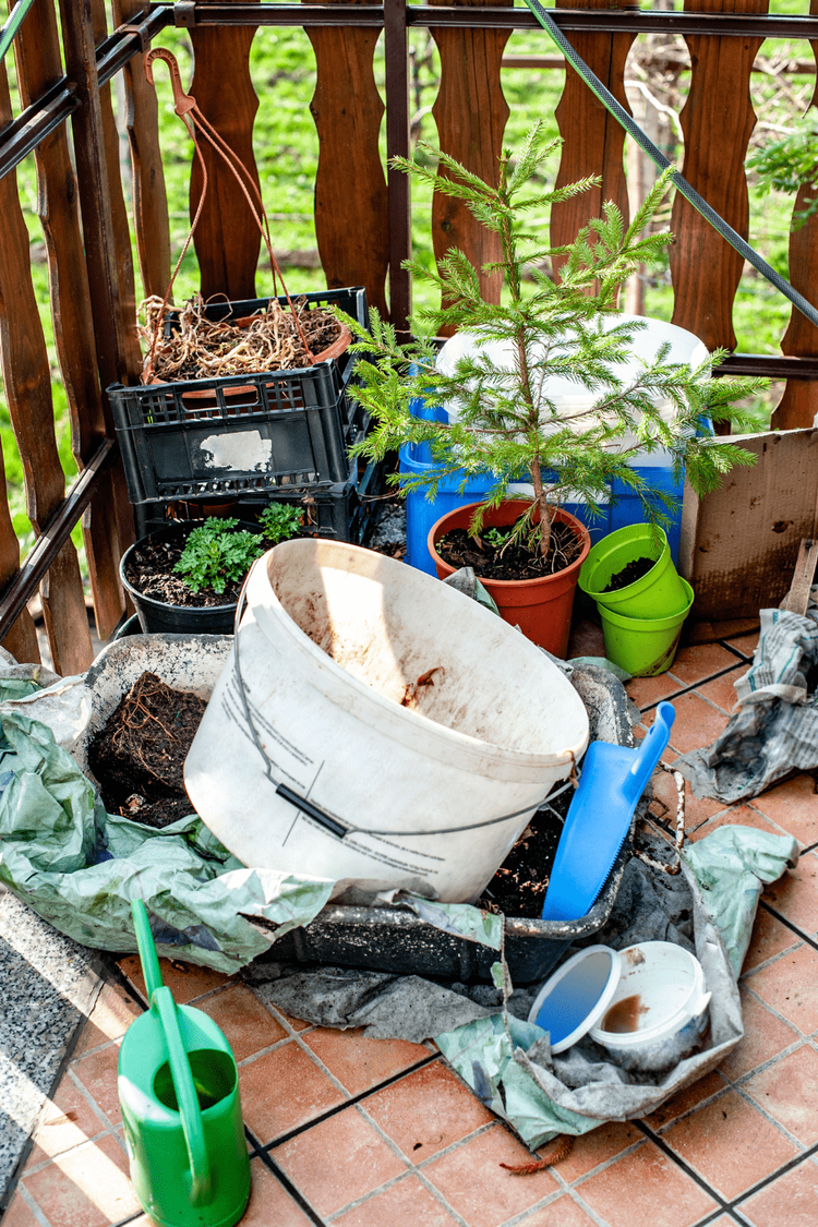 The 5 Stages/Levels of Hoarding: Helping Yourself or a Loved One ...