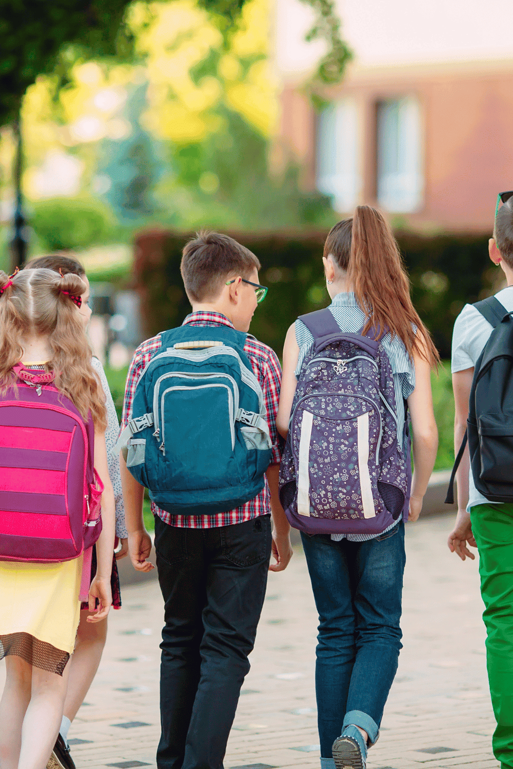 Why Do Schools Never Punish Bullies? — Access Therapy