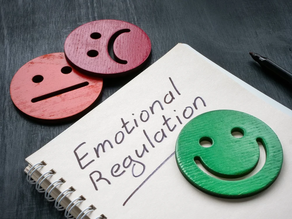 What is emotional regulation? — Access Therapy