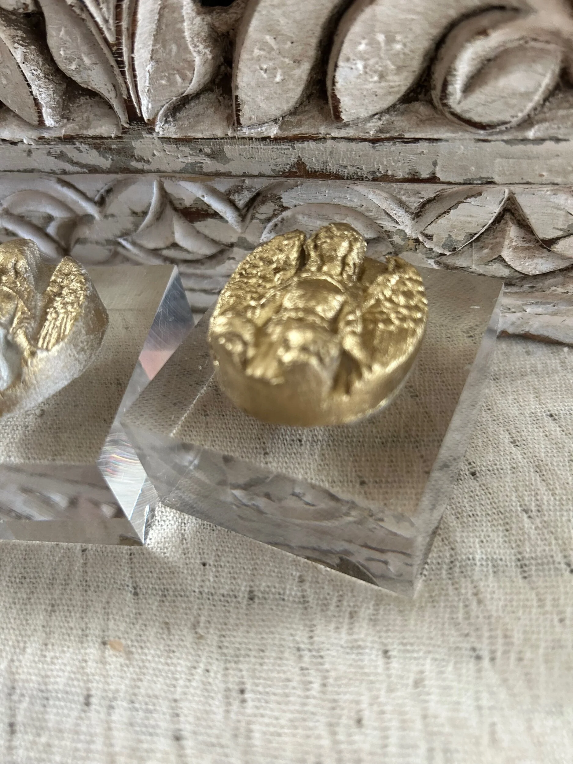 Shop — Elizabeth Polland Art