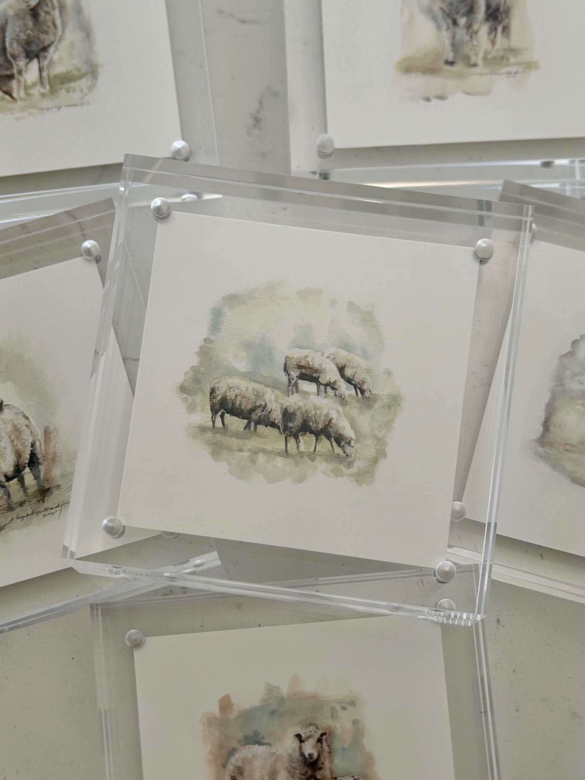 Shop — Elizabeth Polland Art