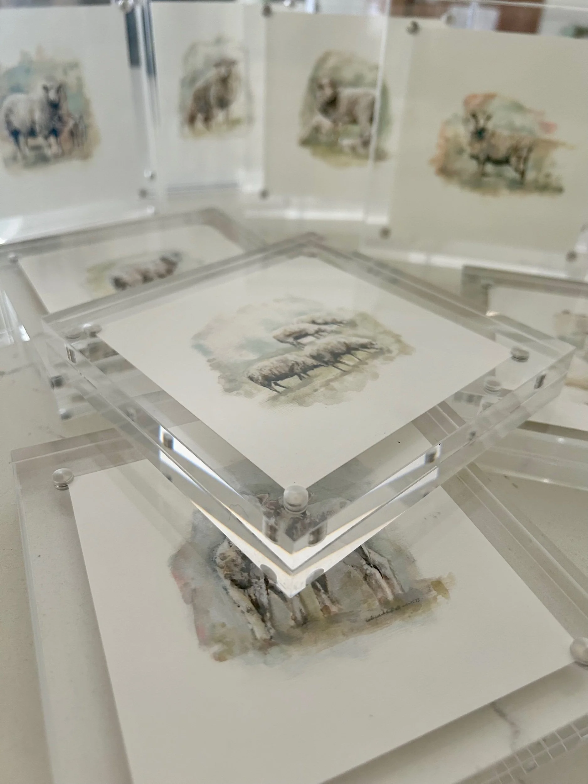 Shop — Elizabeth Polland Art