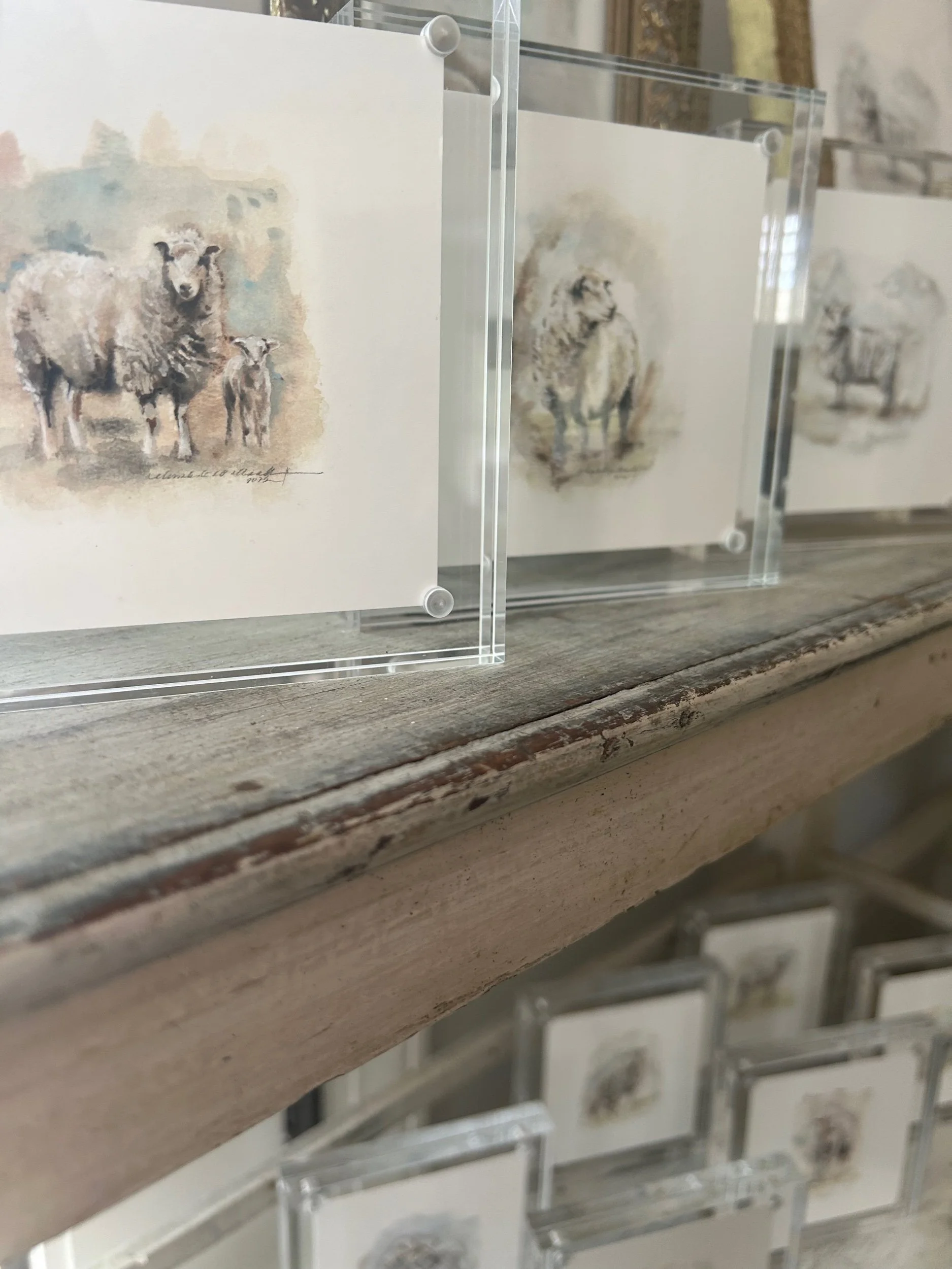 Shop — Elizabeth Polland Art