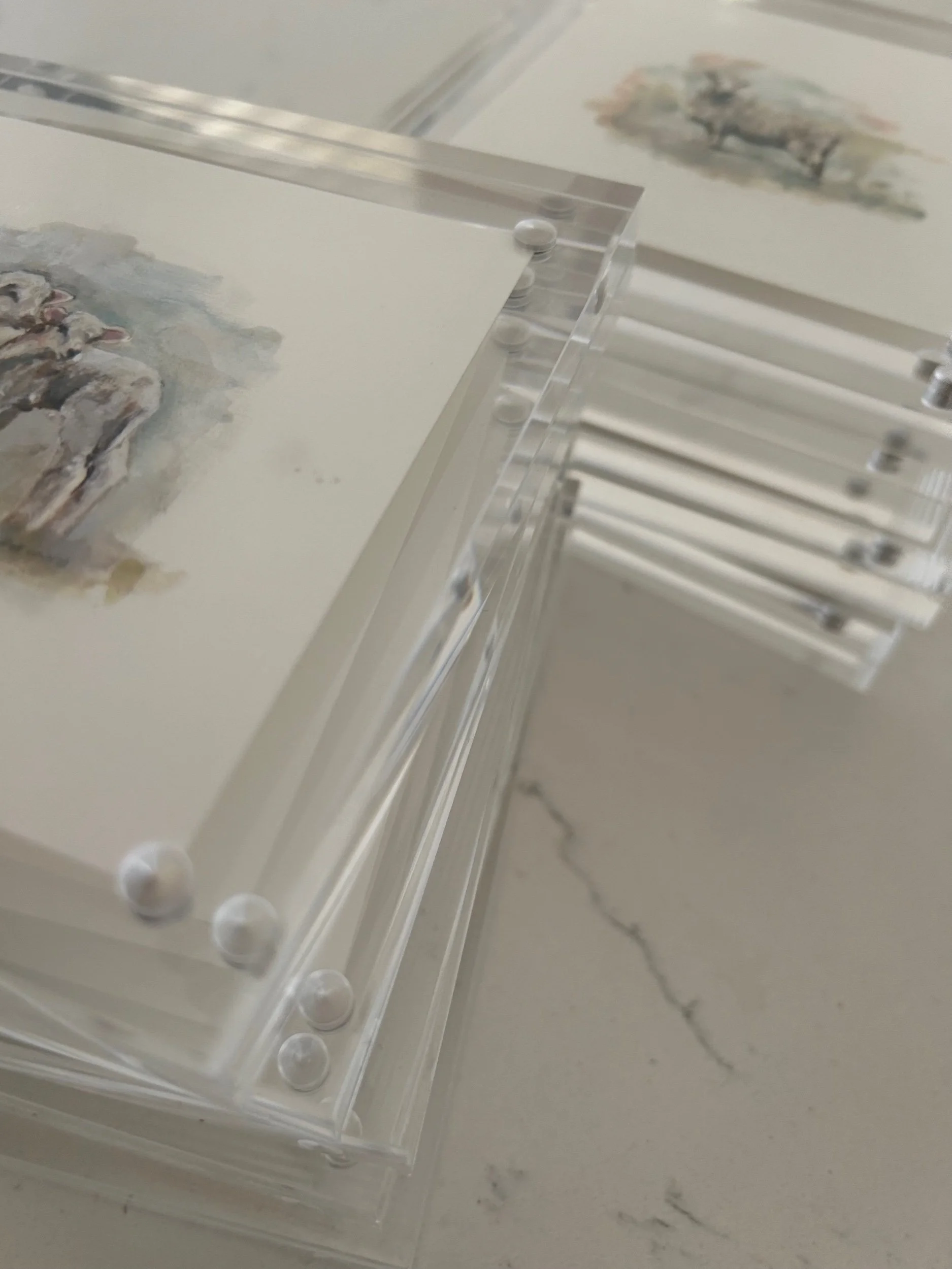 Shop — Elizabeth Polland Art