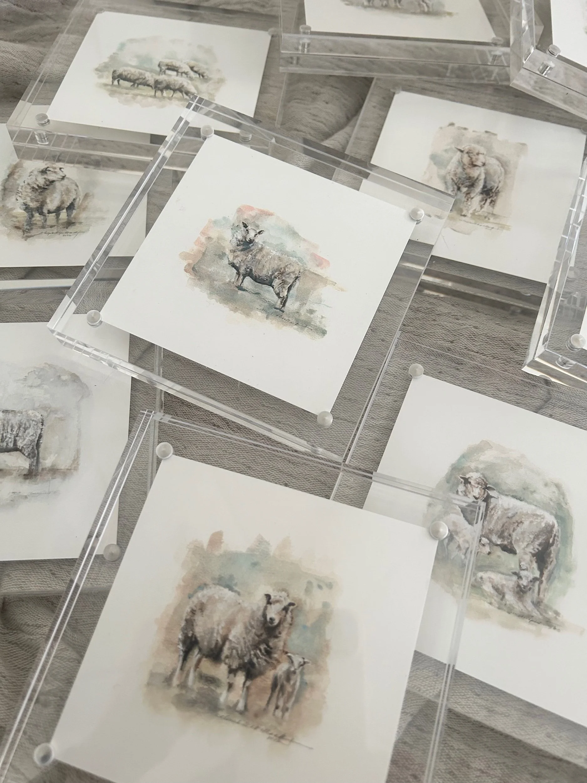 Shop — Elizabeth Polland Art