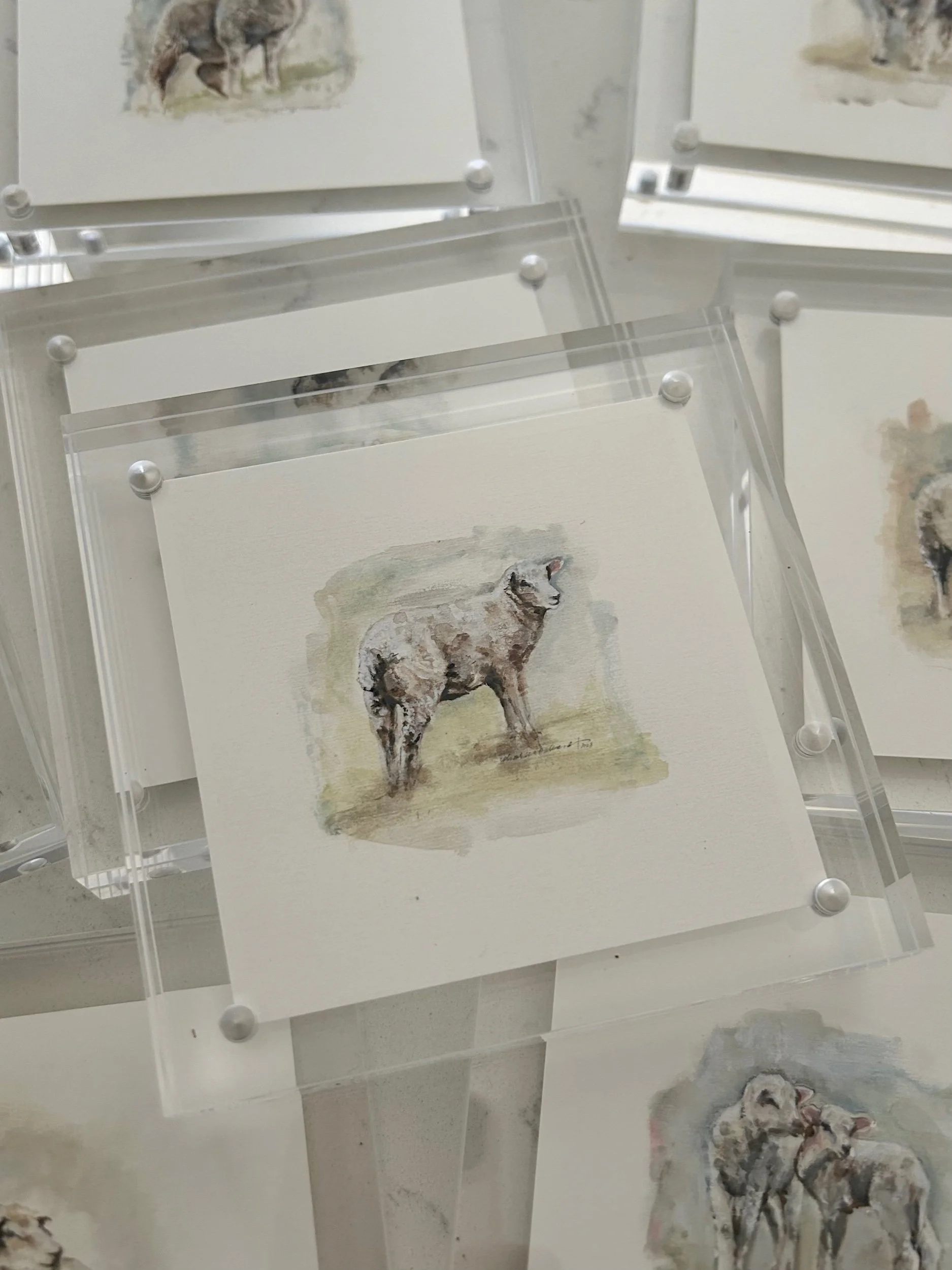 Shop — Elizabeth Polland Art