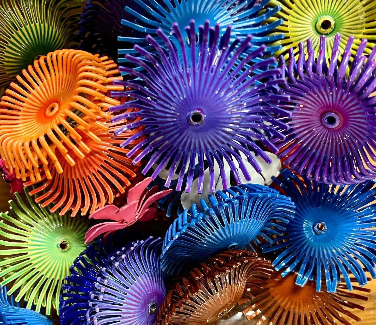 Creative Reuse Center of RI