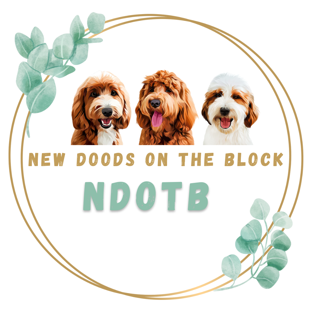New Doods On The Block New Doods On The Block
