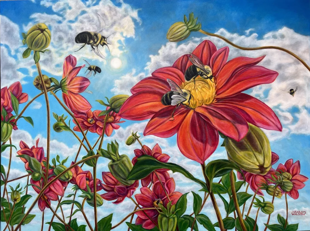 gallery — Sarah Waldow