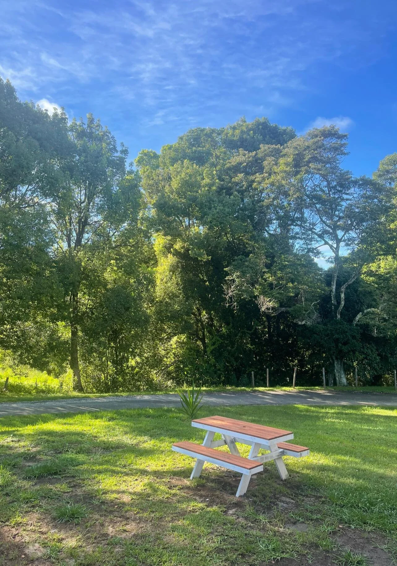 Classes — COORABELL HALL